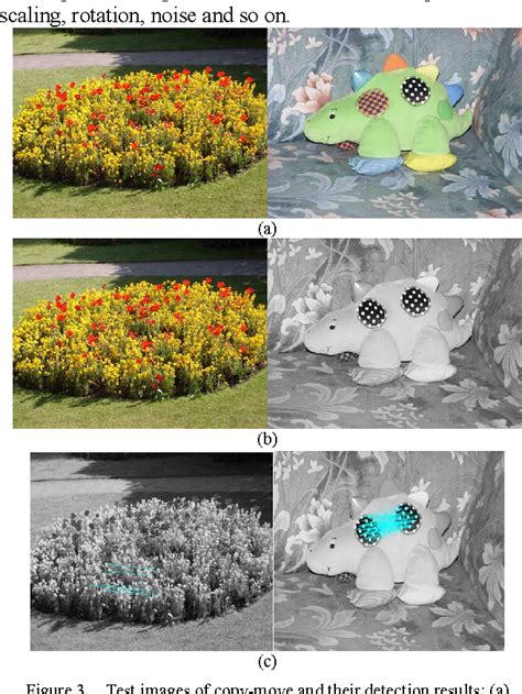 Figure 3 From Image Copy Move Forgery Detection Based On Surf