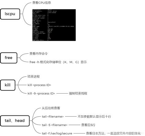 linux基础命令xmind脑图 ximnd的shell脚本 csdn博客