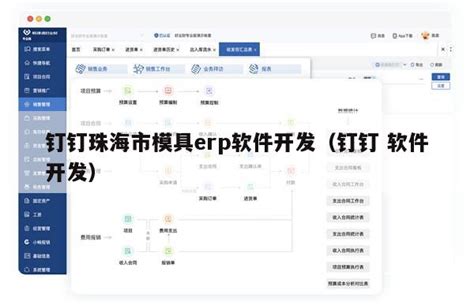 钉钉珠海市模具erp软件开发钉钉 软件开发 erp软件 钉钉智能财务管理