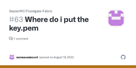 Where Do I Put The Keypem · Issue 63 · Geysermcfloodgate Fabric · Github