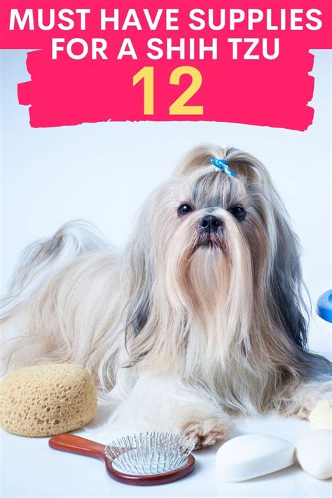 8 types of shih tzu and how to identify them – Artofit