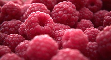Raspberry Fruit 3d Model