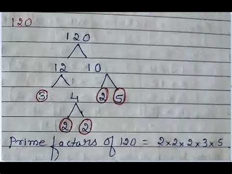 Prime Factors Of 120 By Tree Method Youtube