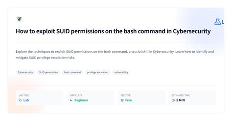 How To Exploit Suid Permissions On The Bash Command In Cybersecurity Labex