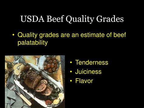Ppt Beef Quality Grading Yield Grading And Pricing Powerpoint