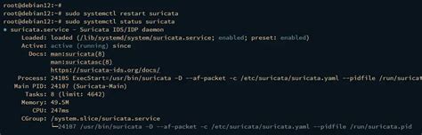 how to install suricata ids ips on debian 12 vitux