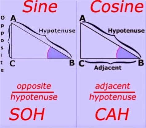 Tears So Many Tears Sine And Cosine Functions