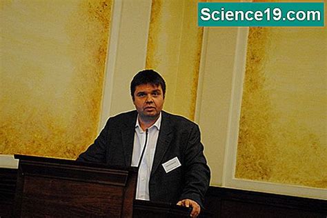 Hogyan Azonosíthatjuk A Héjkövületeket 💫 Tudományos És Népszerű