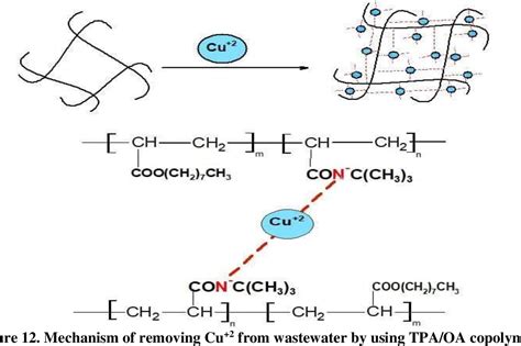 Figure 1 From Synthesis Of Multifunctional Polymers Based On Tert Butyl