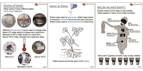 Water Unit Octopus Babe