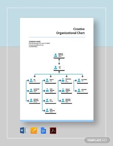 10 Vertical Organizational Chart Google Docs MS Word Pages Editable