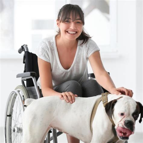 Vanessa Browne On Linkedin Potentials Australian Ndis Support