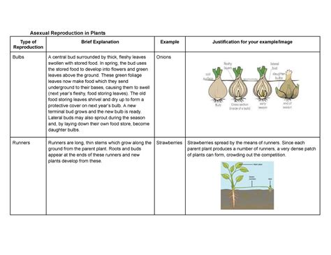 Asexual Reproduction In Plants Studocu