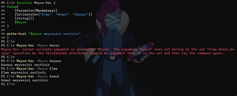 Powershell Ile Fonksiyon Islemleri 8 Fonksiyonlar Icinde Validateset Ile Zorunlu Parametre