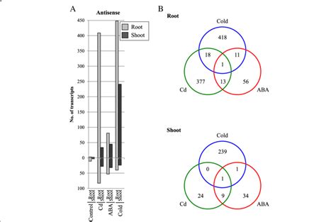 Distribution Of Upregulated And Downregulated Rap Transcripts With Download Scientific Diagram
