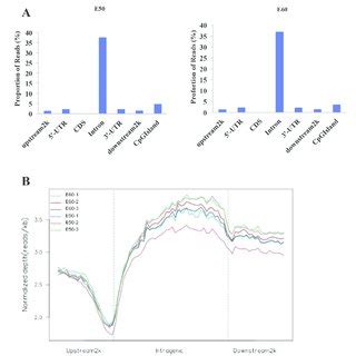Distribution Of Unique Mapped Reads In Different Genomic Regions A The