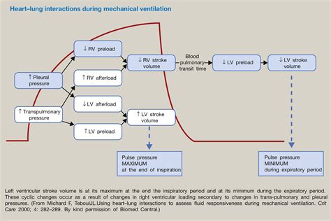 Hypovolaemia Anaesthesia And Intensive Care Medicine
