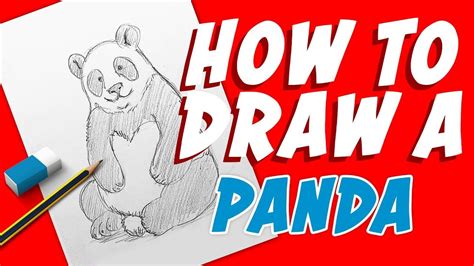 How To Draw A Panda [easy Guide For Beginners] Youtube