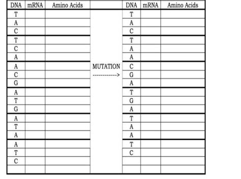 Solved Q Just From Looking At The Normal DNA Sequence And Chegg Com