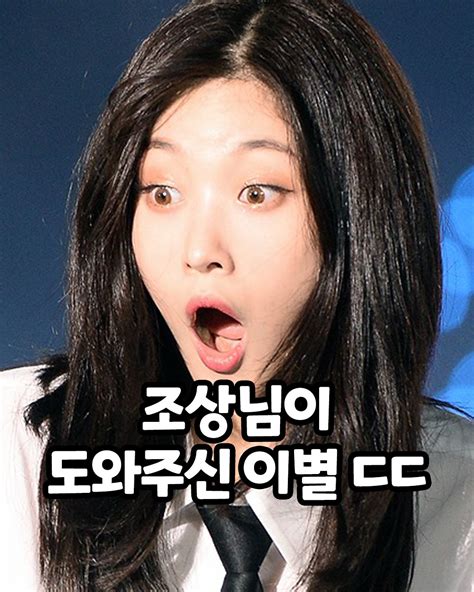 미친유머 돌아인가 진짜 유머짤 짤모음 웃음 웃긴짤 좋아요 웃짤 웃긴모음 유머그램 힐링스타그램 공유 Instagram