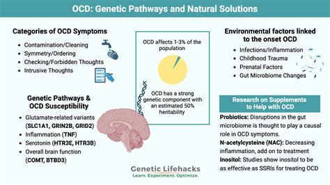 Ocd Obsessive Compulsive Disorder Genes