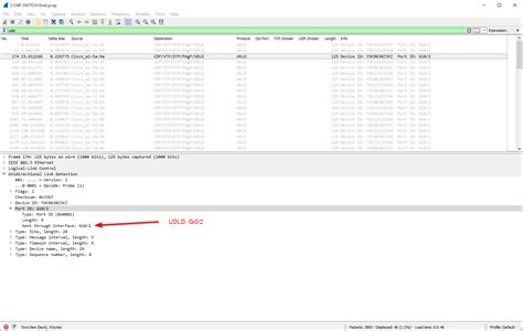 Wireshark Layer Pcap Challenge Answers Weberblog Net