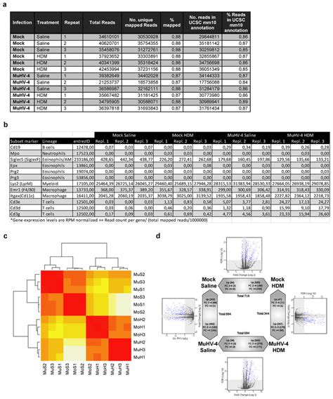 details of the transcriptomics analysis of ams a sequence and mapping