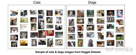 深度学习 第 篇深度学习是什么能干什么要怎样学 知乎