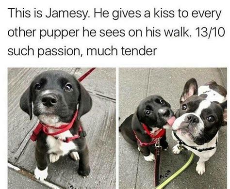 Best Sexual Predator Images On Pholder Exmormon Trumpvirus And Fuckthealtright