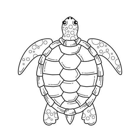 Free Vector Hand Drawn Turtle Outline Illustration Turtle Drawing Turtle Outline Turtle