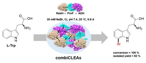 Recent Advances In Flavin Dependent Halogenase Biocatalysis Sourcing