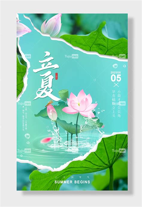 立夏二十四节气海报素材模板下载 图巨人