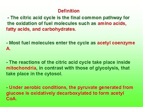 Citric Acid Cycle Definition The Citric Acid Cycle