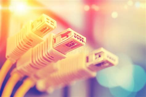 Ethernet Cables And Switch In Data Center For Local Area Network