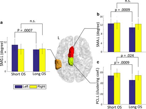 Discriminative Rois With Consistent Predictive Ability For Low Order Download Scientific