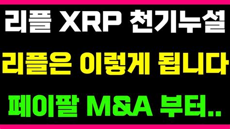 엑스알피 리플이 경쟁자인 페이팔을 인수한다면 리플 엑스알피 Youtube