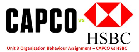 Unit 3 Organisation Behaviour Assignment Capco Vs Hsbc