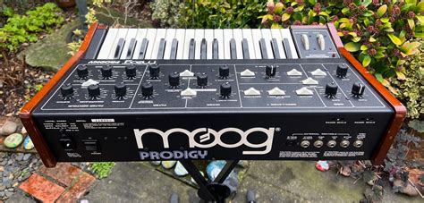 Moog Prodigy Rl Music