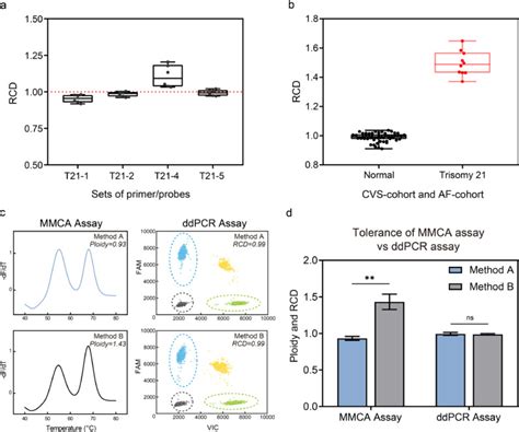 Segmental Duplication As Potential Biomarkers For Non Invasive Prenatal Testing Of Aneuploidies