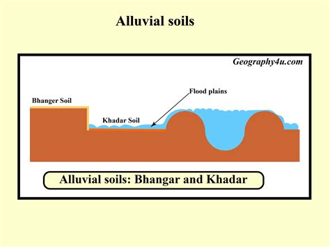 Alluvial Soil Deposits