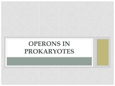 Ppt Operons In Prokaryotes Powerpoint Presentation Free Download Id 2425145