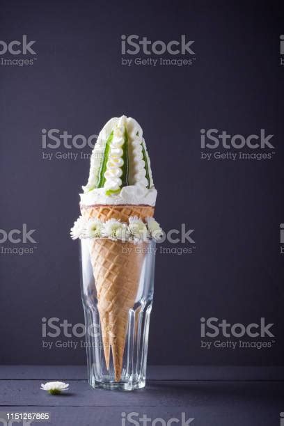 아이스크림 콘과 흰 꽃 여름 개념입니다 검은 배경에 잼이 있는 아이스크림 유리에 디저트 와플 콘 Minimalism 0명에 대한 스톡 사진 및 기타 이미지 Istock