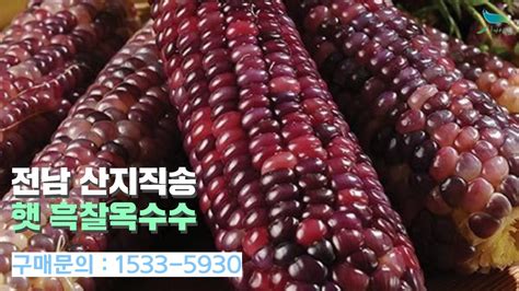 신바람 농산물 협력농가 판매상품 전남 산지직송 햇 흑찰옥수수 특품 10개 중고트랙터 중고농기계 경운기 관리기 스키로더 굴삭기 화물트럭 매매 직거래 장터 사이트