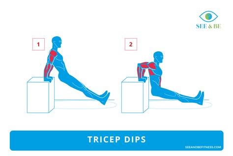 Triceps Dips