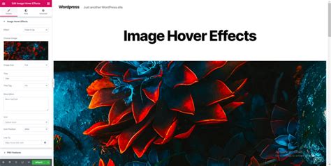 image hover effects addon for elementor blocksera store