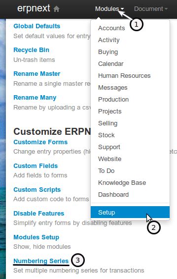 erpnext user manual how to create naming series for transactions in