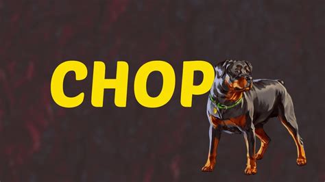 Chops Meaning And Example At Carl Buteau Blog
