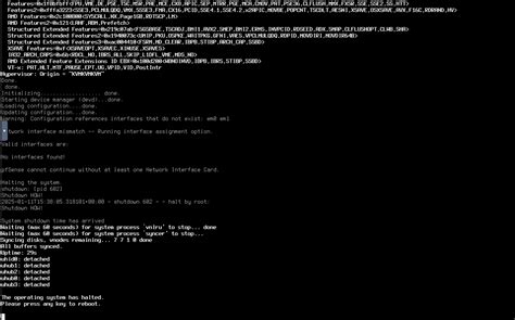 Pfsense Not Recognizing Nic Even Though It Is Passed Through Vm