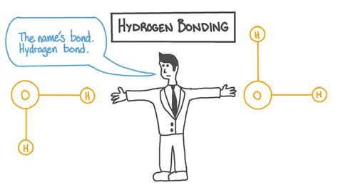 Lesson Video Hyrdogen Bonding Nagwa