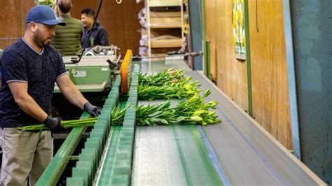 How To Audit The Safety Of Your Greenhouse Facility And Business Greenhouse Grower